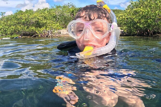 Grand Snorkeling Riviera Maya Private Tour - Evaluating the Value