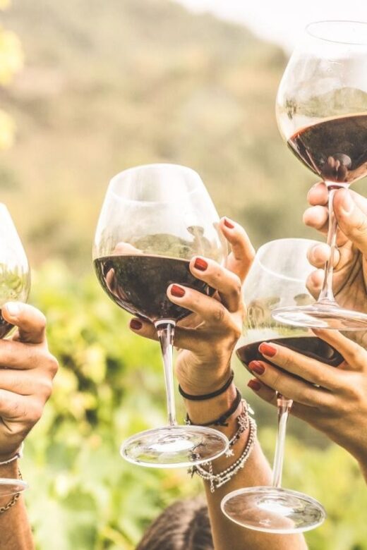 Grape Escapes Full-Day Private Wine Tour in Ithaca - Who Will Love This Tour?