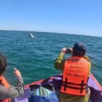 Gray Whale Tour Private Group from La Paz Limited to 8 - The Experience: What Youll Really Get