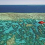 Great Barrier Reef 30-Minute Scenic Helicopter Tour from Cairns - What Makes This Tour Stand Out