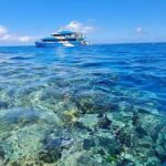 Great Barrier Reef and MOUA Snorkeling Day Tour from Townsville - The Itinerary & What You Can Expect