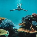 Great Barrier Reef Cruise from Townsville or Magnetic Island - Practical Details and Tips