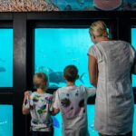 Great Barrier Reef Full Day Adventure - The Itinerary Breakdown