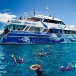 Great Barrier Reef Full Day Tour from Cairns - The Value of This Reef Experience