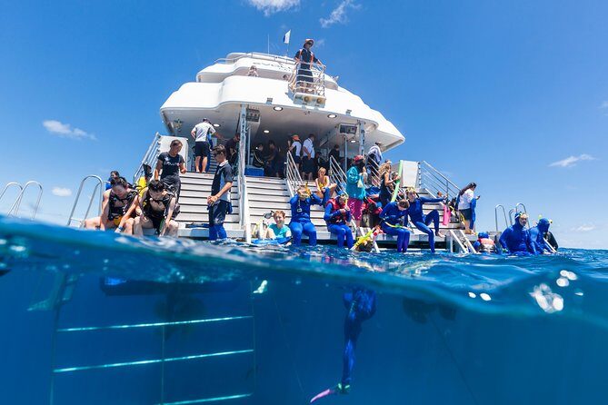 Great Barrier Reef Snorkeling and Diving Cruise from Cairns - FAQ