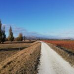 Great Escape Self-Guided Scenic Cycle Winery Tour from Napier - What We Think: The Perfect Fit