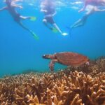 Great Keppel Island Day Trip with Lunch - The Experience: Insights from Travelers