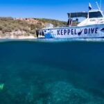 Great Keppel Island: PADI Discover SCUBA Diving - Final Thoughts: Is This Tour Right for You?
