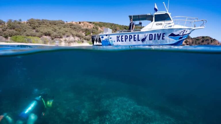 Great Keppel Island: PADI Discover SCUBA Diving - Final Thoughts: Is This Tour Right for You?