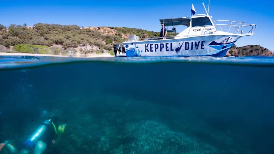 Great Keppel Island: PADI Discover SCUBA Diving - Final Thoughts: Is This Tour Right for You?