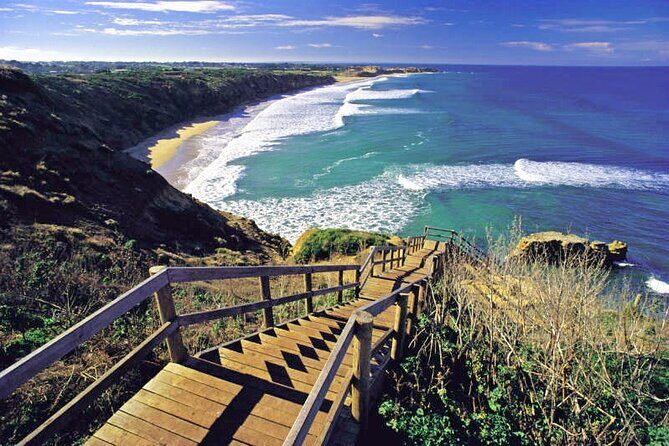 Great Ocean Road 12 apostles PRIVATE Luxury Tour 5 PAX all incl. - Who Would Love This Tour?