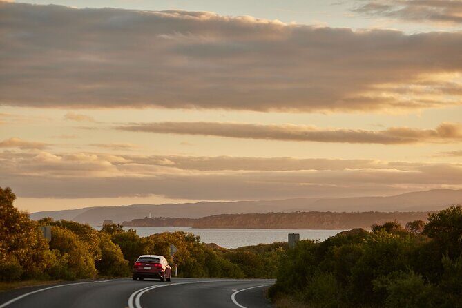 Great Ocean Road and 12 Apostles Tour - Practical Considerations