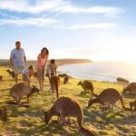 Great Ocean Road and Wildlife Day Tour - Transport and Group Dynamics