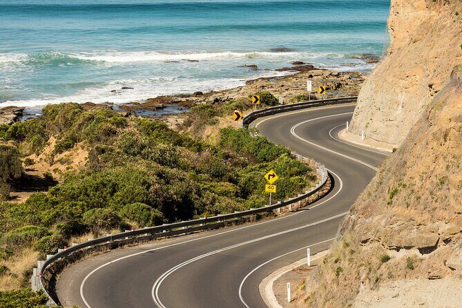 Great Ocean Road Coastal Spectcular with Wildlife Wonders - Why This Tour Offers Great Value