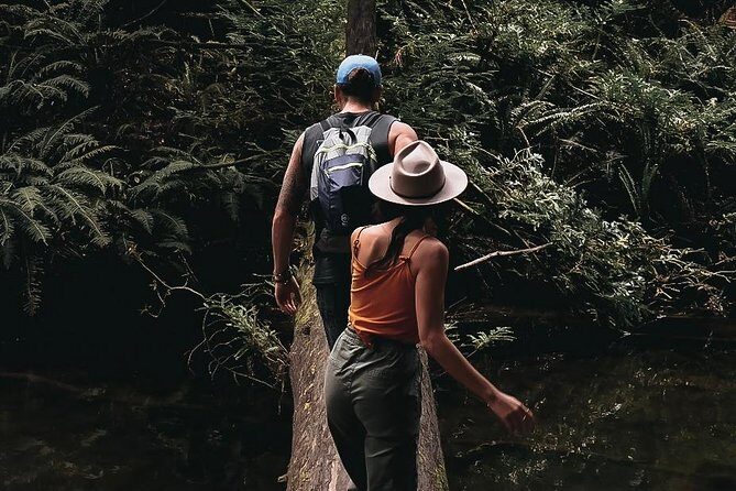 Great Ocean Road Full Day Private Experience - Why the Price Reflects Good Value