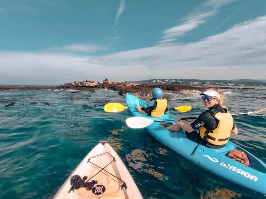 Great Ocean Road: Kayaking with Seals Tour - The Itinerary Breakdown