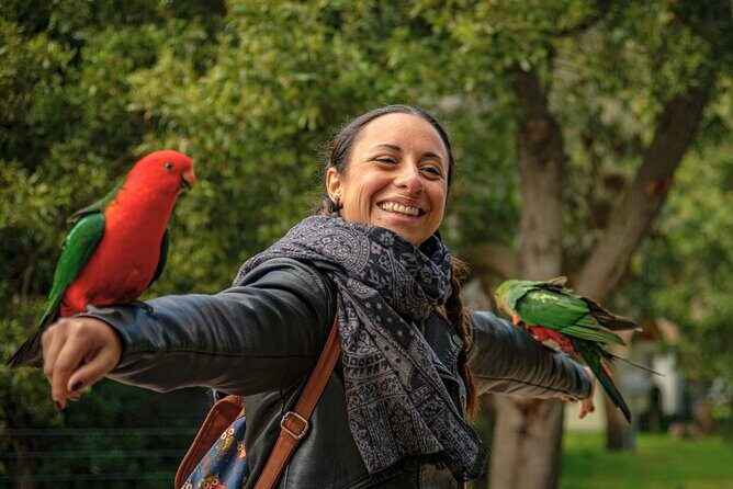 Great Ocean Road Small-Group Eco Tour from Melbourne - Who Will Love This Tour?