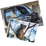 Great Ocean Road Tour Reverse SML GRP-DLUX Mini Bus Hotel Pickup - Transportation and Comfort