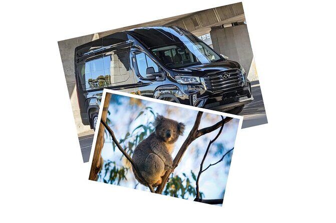 Great Ocean Road Tour Reverse SML GRP-DLUX Mini Bus Hotel Pickup - Transportation and Comfort