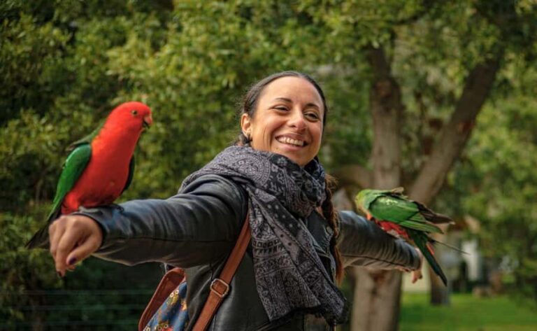 Great Ocean Road Tour w/ Deluxe Minibus & Top-Rated Guide - The Itinerary Breakdown