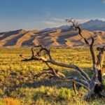 Great Sand Dunes Self Guided National Park Audio Tour - Experience Quality and Practical Considerations