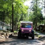 Great Smoky Mountains: Elkmont Historic District Tour - Practical Details and Tips