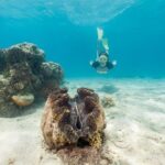 Green Island Day Trip from Cairns - The Taste of the Island: Food and Drinks