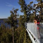 Greymouth: Hokitika Gorge and Tree Top Walkway Half-Day Tour - Detailed Breakdown of the Experience