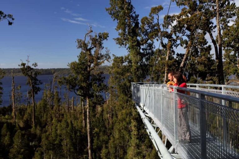 Greymouth: Hokitika Gorge and Tree Top Walkway Half-Day Tour - Detailed Breakdown of the Experience