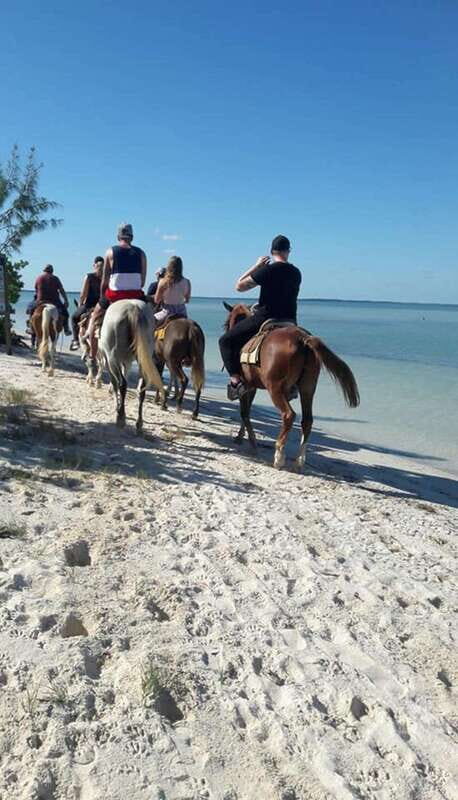 Group horseback ride on Holbox Island, Quintana Roo - Who Will Enjoy This Tour?