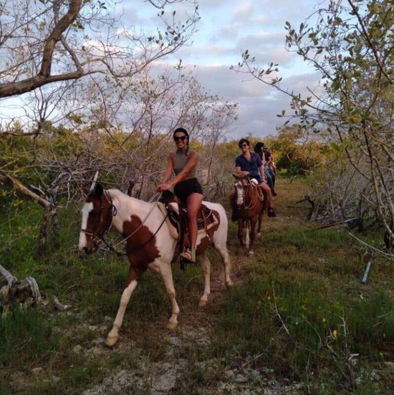 Group Tour of Holbox Island, Quintana Roo - An in-depth look at the Punta Siricote horseback ride