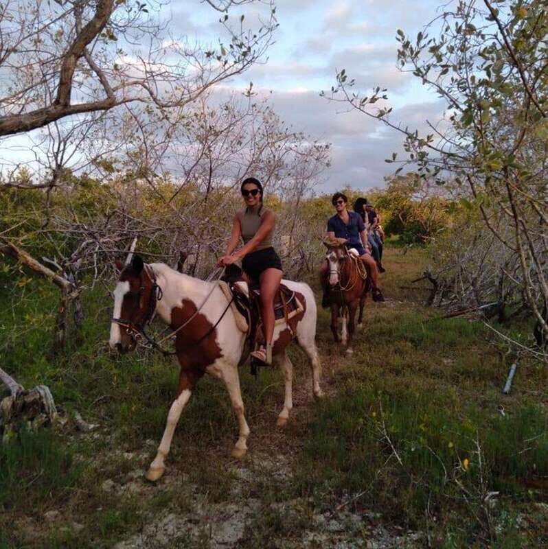 Group Tour of Holbox Island, Quintana Roo - An in-depth look at the Punta Siricote horseback ride