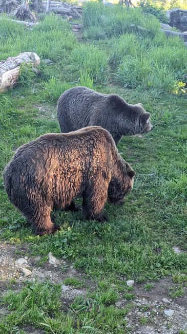 Grouse Mnt+StanleyPark+Hatchery+Cleveland Dam+LynnCanyonTOUR - Final Thoughts