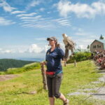 Grouse Mountain, Capilano Bridge & Fish Hatchery Tour - Is It Good Value for Money?