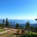 Grouse Mtn Stanley Park Hatchery Cleveland Dam Lynn Canyon Tour - What’s Included and What’s Not