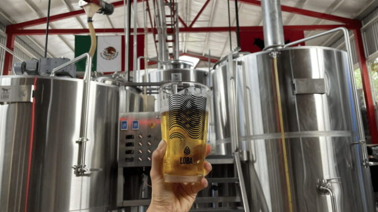 Guadalajara Arquitecture and Brewery Tour - Behind the Scenes at Loba Brewery