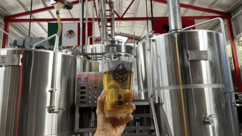 Guadalajara Arquitecture and Brewery Tour - Behind the Scenes at Loba Brewery