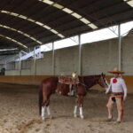 Guadalajara: Authentic Charro Horseriding Experience - Who Should Consider This Tour?
