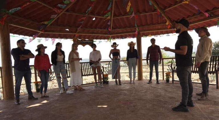 Guadalajara: Premium Tequila Tour with Tastings and Pairings - Detailed Breakdown of the Itinerary