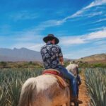 Guadalajara: Tequila Day Trip with Jose Cuervo Option - What’s Included and What to Expect