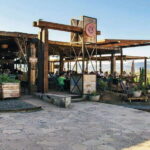 Guadalupe Valley: Complete Wine Route - Discovering the Guadalupe Valley Wine Route: A Deep Dive