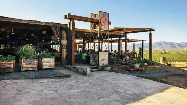 Guadalupe Valley: Complete Wine Route - Discovering the Guadalupe Valley Wine Route: A Deep Dive