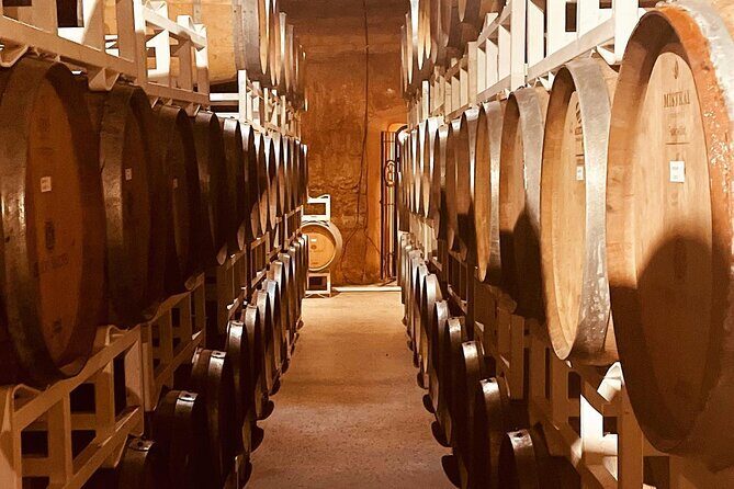 Guadalupe Valley Private Tour The Wine Route - Who Should Consider This Tour?