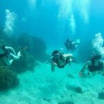 Guam's Best Beach Diving! Beginner and Advanced Dives - Why This Tour Offers Great Value