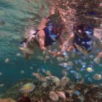 Guam's Private 5 Star Guided Snorkeling Tour! - What to Expect During the Tour