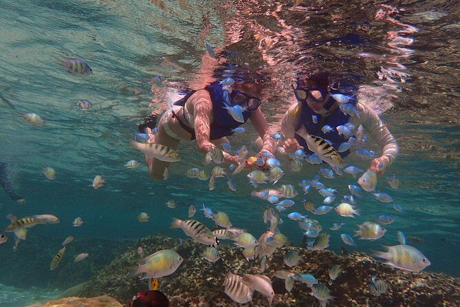 Guam's Private 5 Star Guided Snorkeling Tour! - What to Expect During the Tour