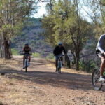 Guanajuato City: Bike Tour - What to Expect During the Tour