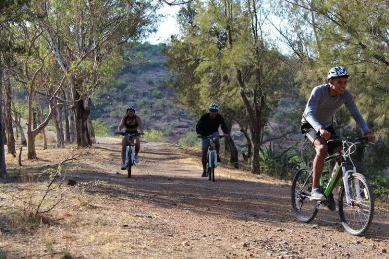 Guanajuato City: Bike Tour - What to Expect During the Tour