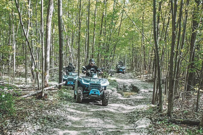 Guided ATV Adventure Tours in Kaladar - What to Expect from Your ATV Adventure