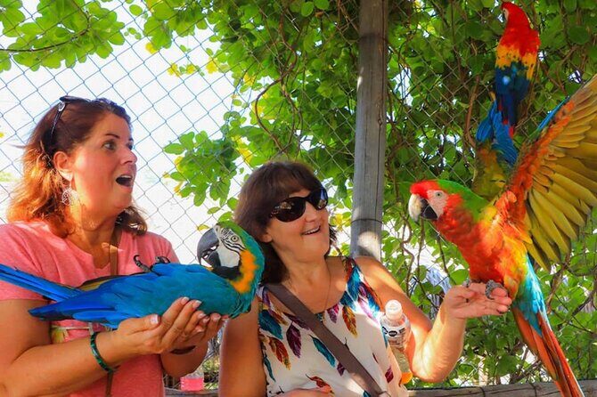 Guided Canyon Camel Ride in Wild Canyon Adventure Park - The Value of This Experience